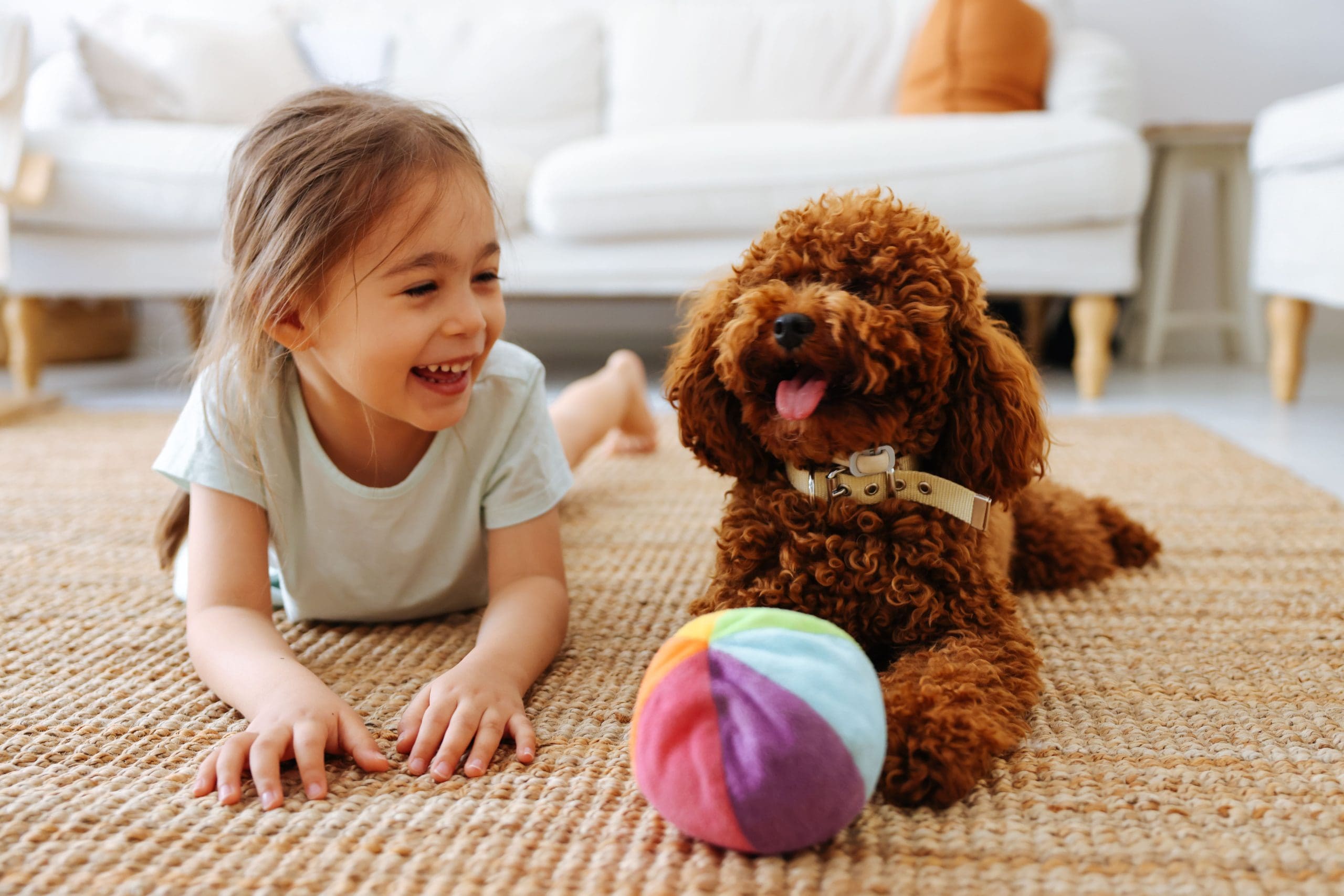 Hund und Kind: Das perfekte Match im Familienalltag | schauvorbei