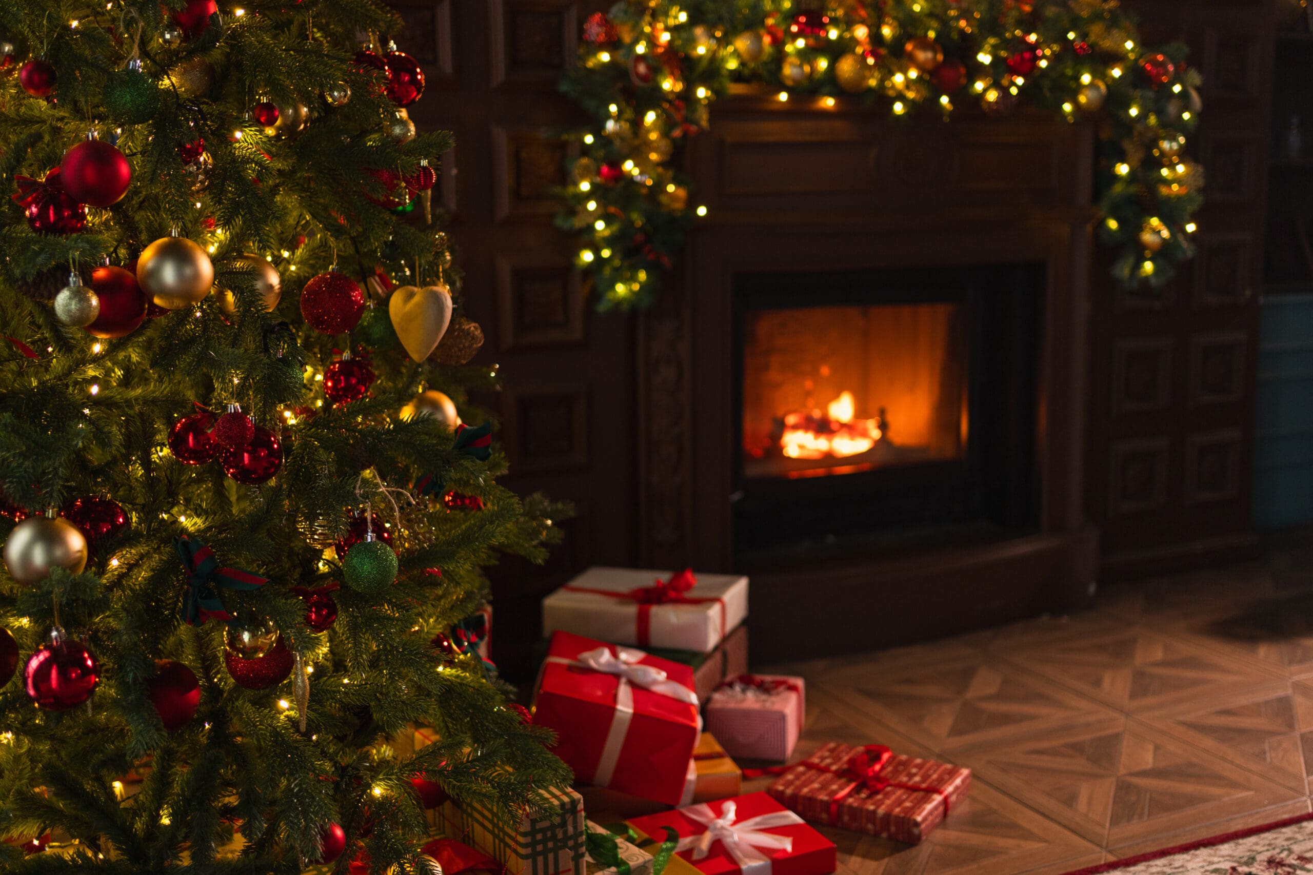 Woher kommt eigentlich der Christbaum? | schauvorbei